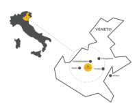 La Gioiosa Prosecco DOCG - Ethica Wines | Italian Roots. Global Reach.